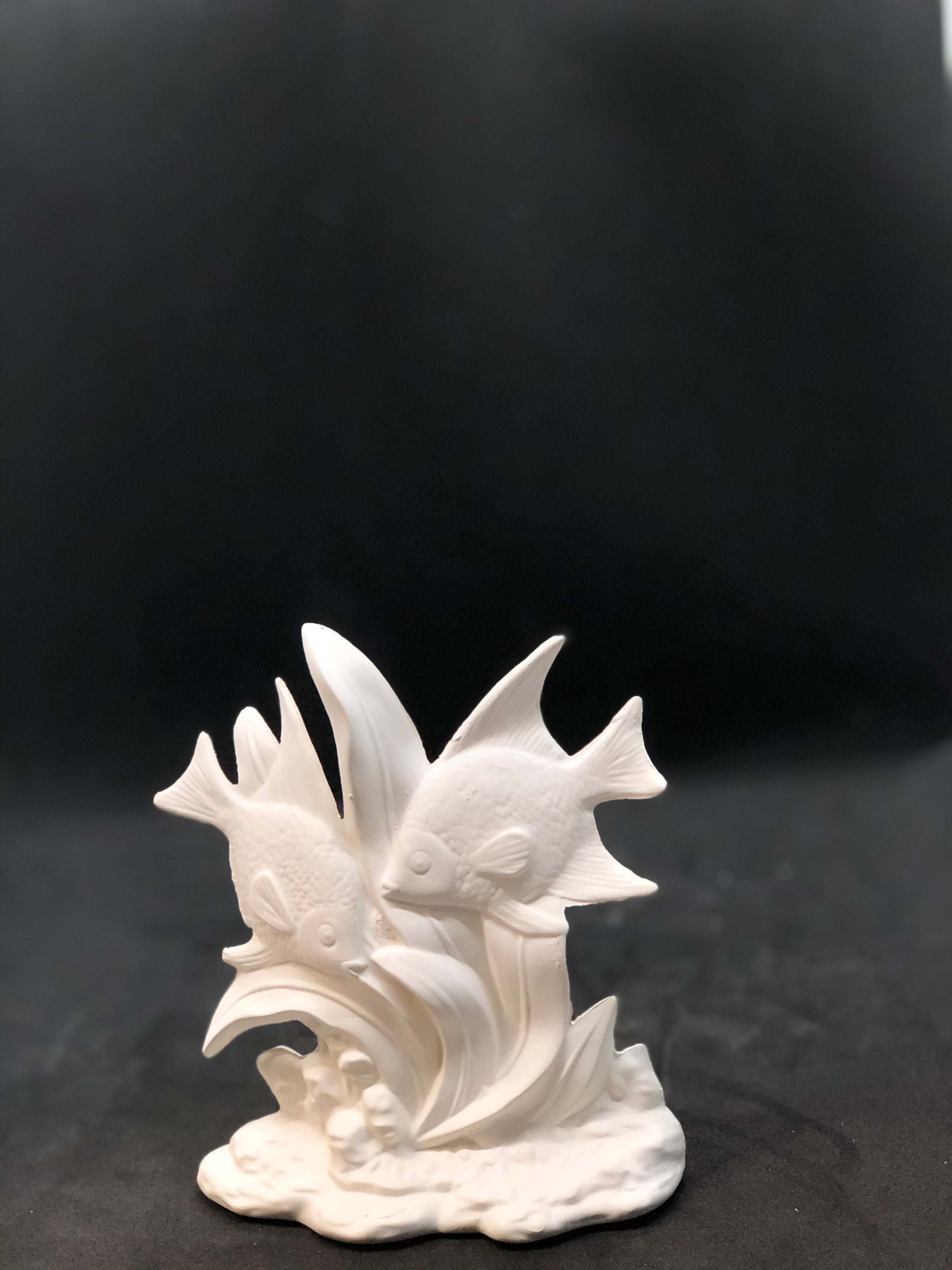 Double Angelfish | Center Ground Studios